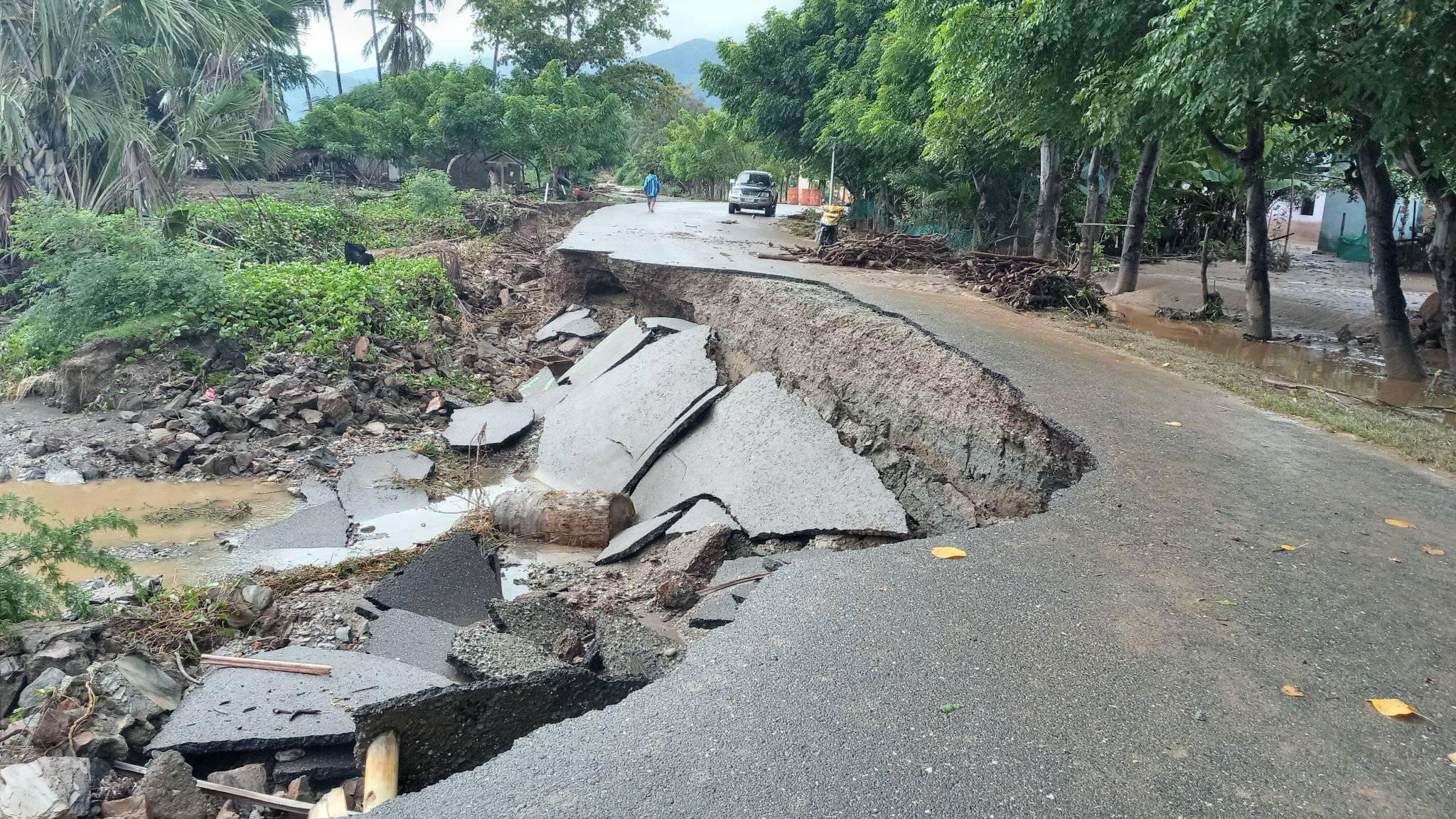 Helping Timor Rebuild - Carmel Impact